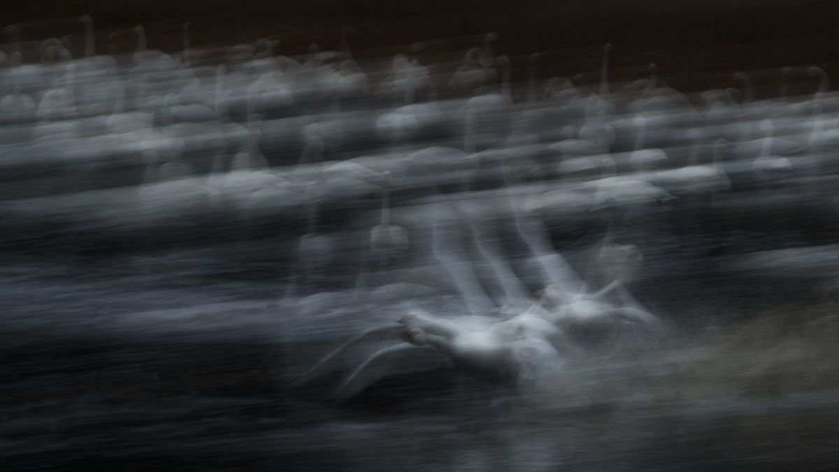 Impressive Fright #011 | GANREF