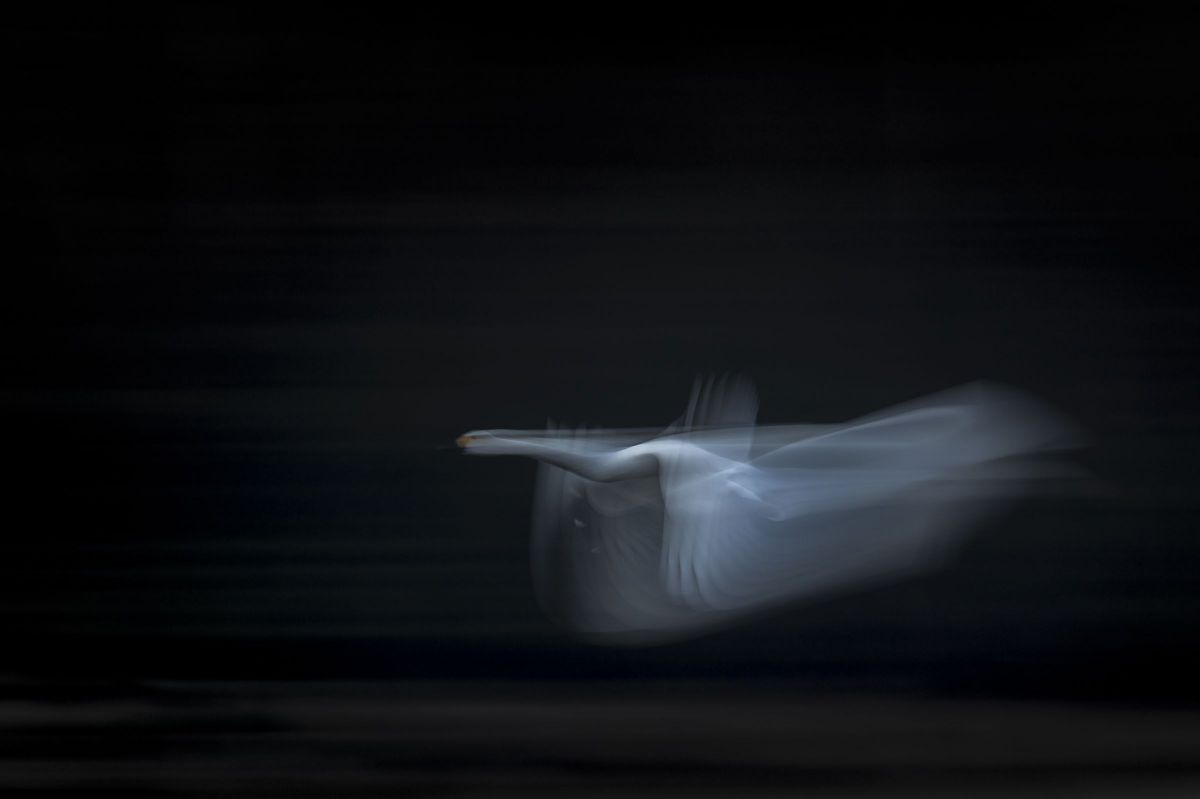 Impressive Fright #017 | GANREF