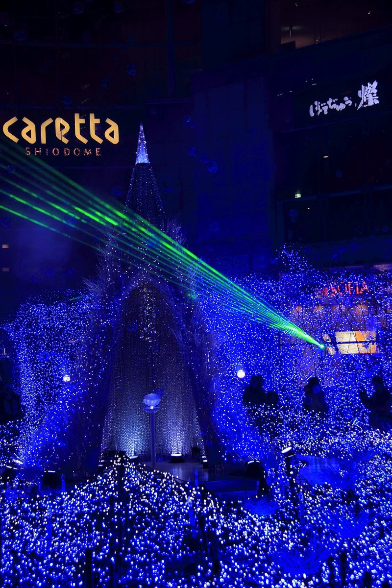 caretta BLUE OCEAN Xmas 2009 NO5 | GANREF