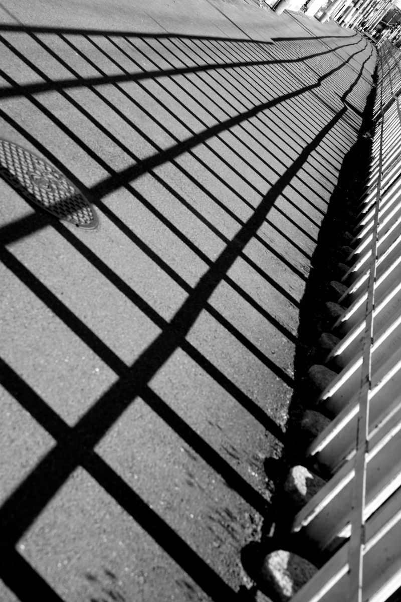 shadow rail | GANREF