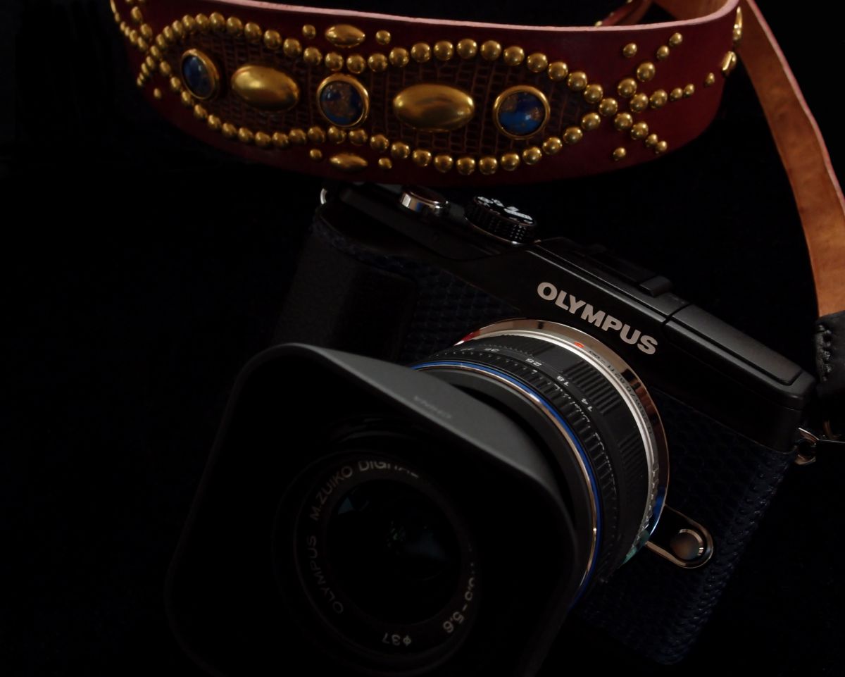 ブツ撮り「オレのPEN」 | GANREF