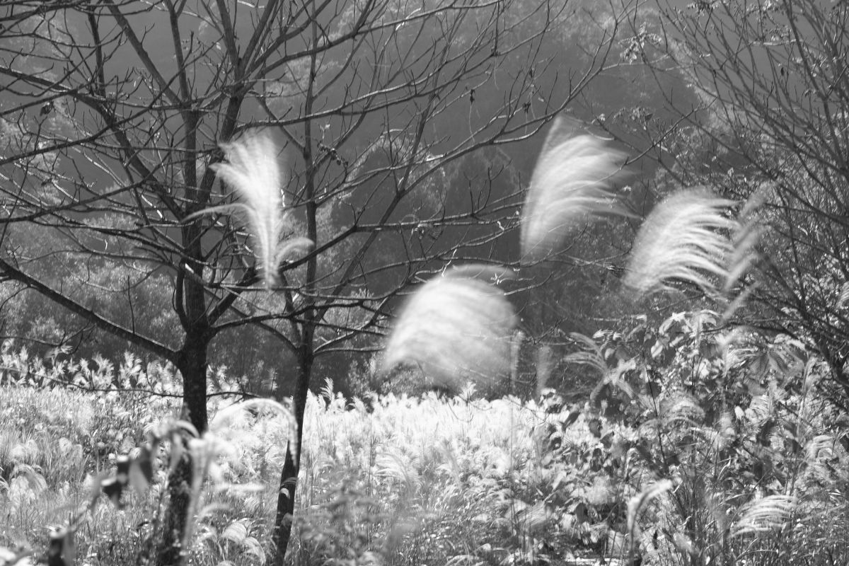 Feel The Wind | GANREF