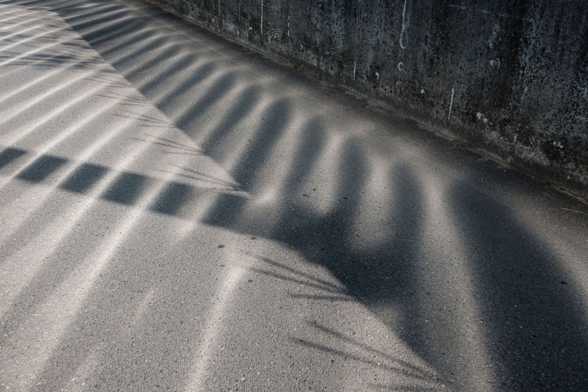 Shadow&Reflection | GANREF