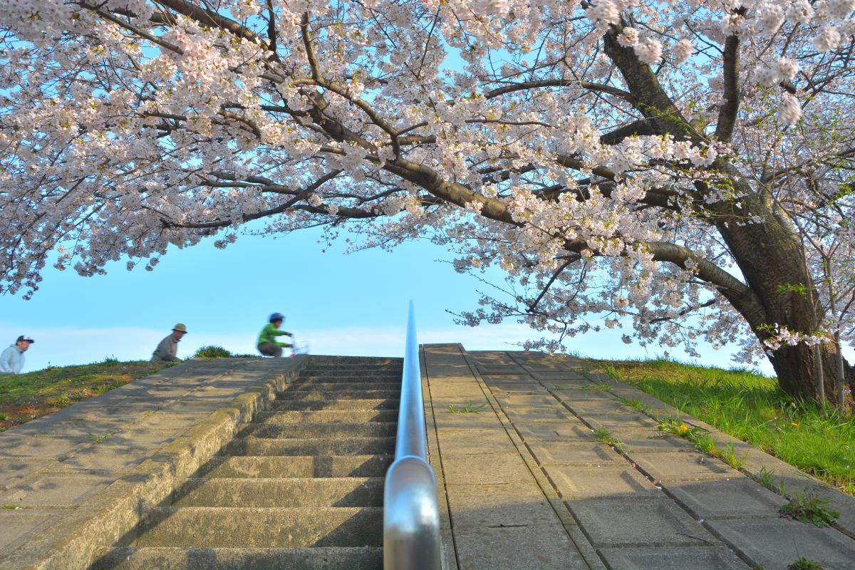 爽快走快002 | GANREF