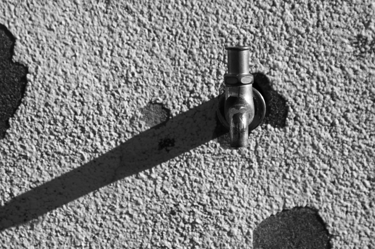 self portrait | GANREF