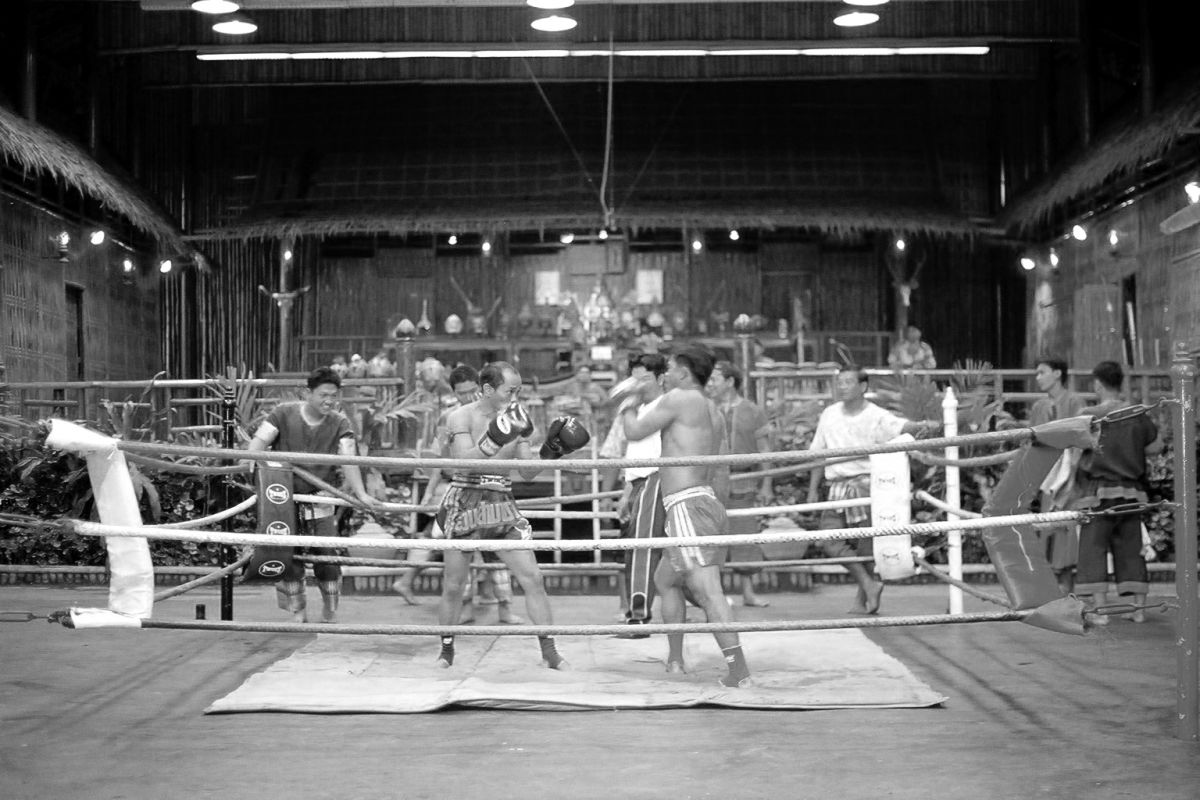 fight money | GANREF