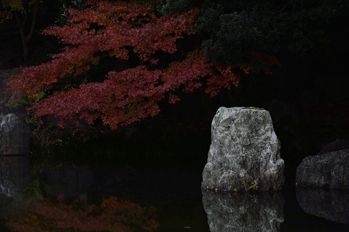 怪しく染る | GANREF