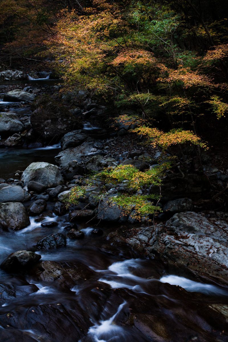 染まり始め | GANREF