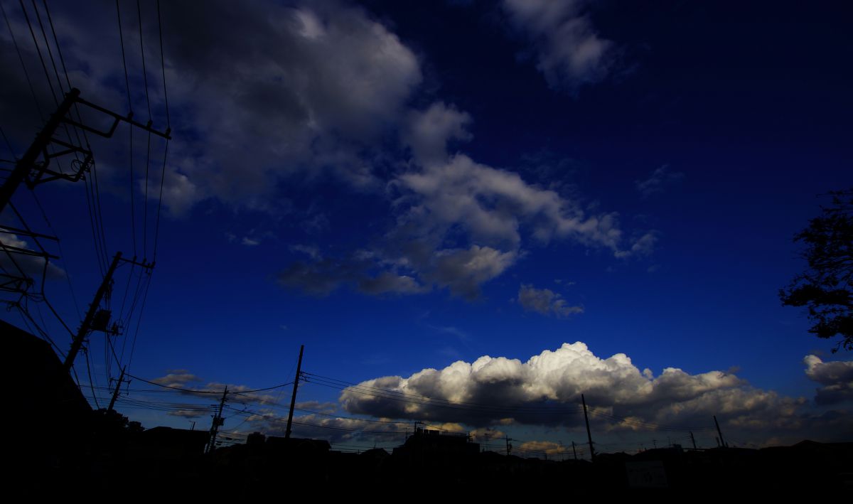 何処までも | GANREF