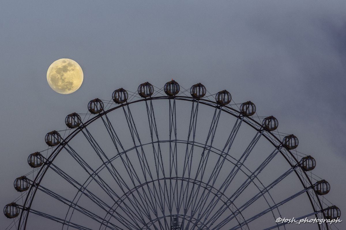 moon wheel | GANREF
