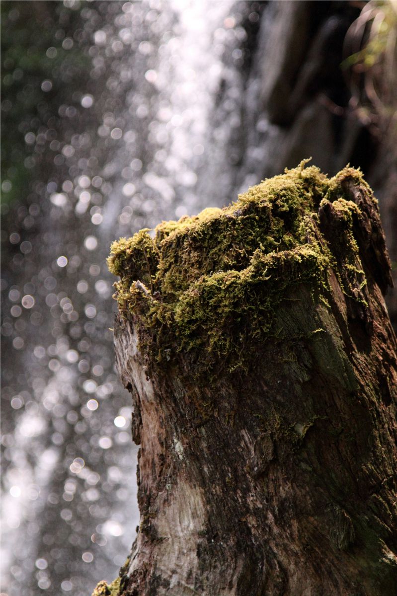 水の輝き | GANREF