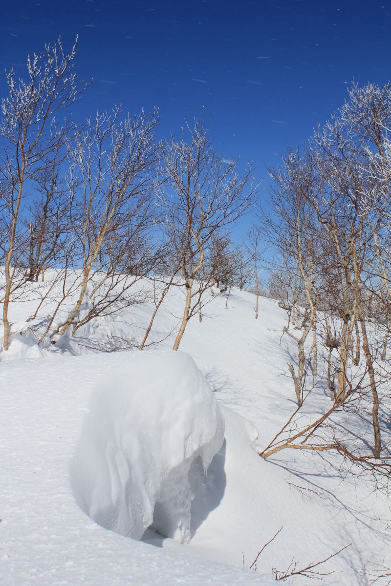 snow trekking 2013 | GANREF