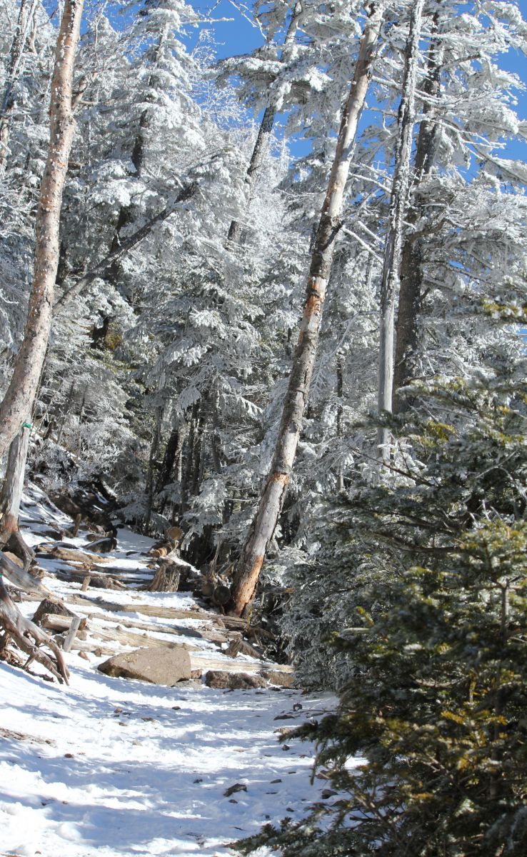 snow trekking ！！ | GANREF