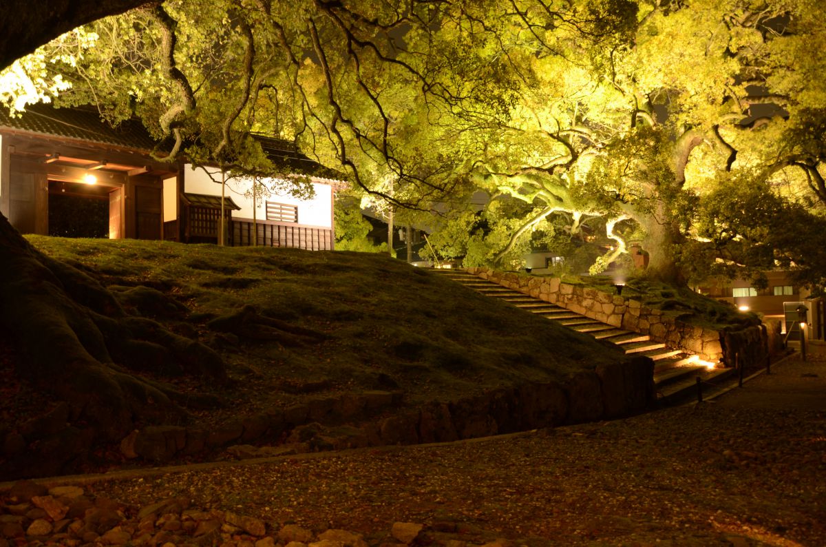 青蓮院門跡のライトアップPart1 | GANREF