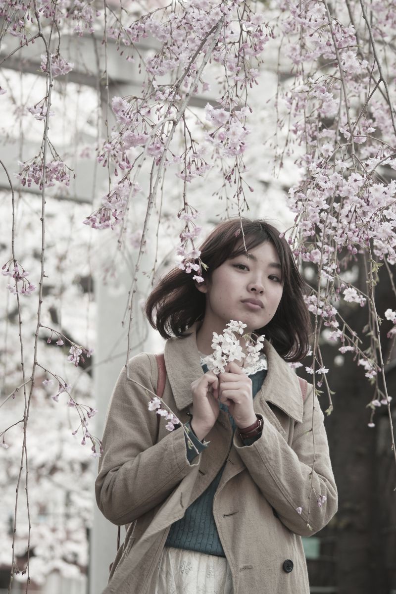 Sakura Catch Girl 3 | GANREF