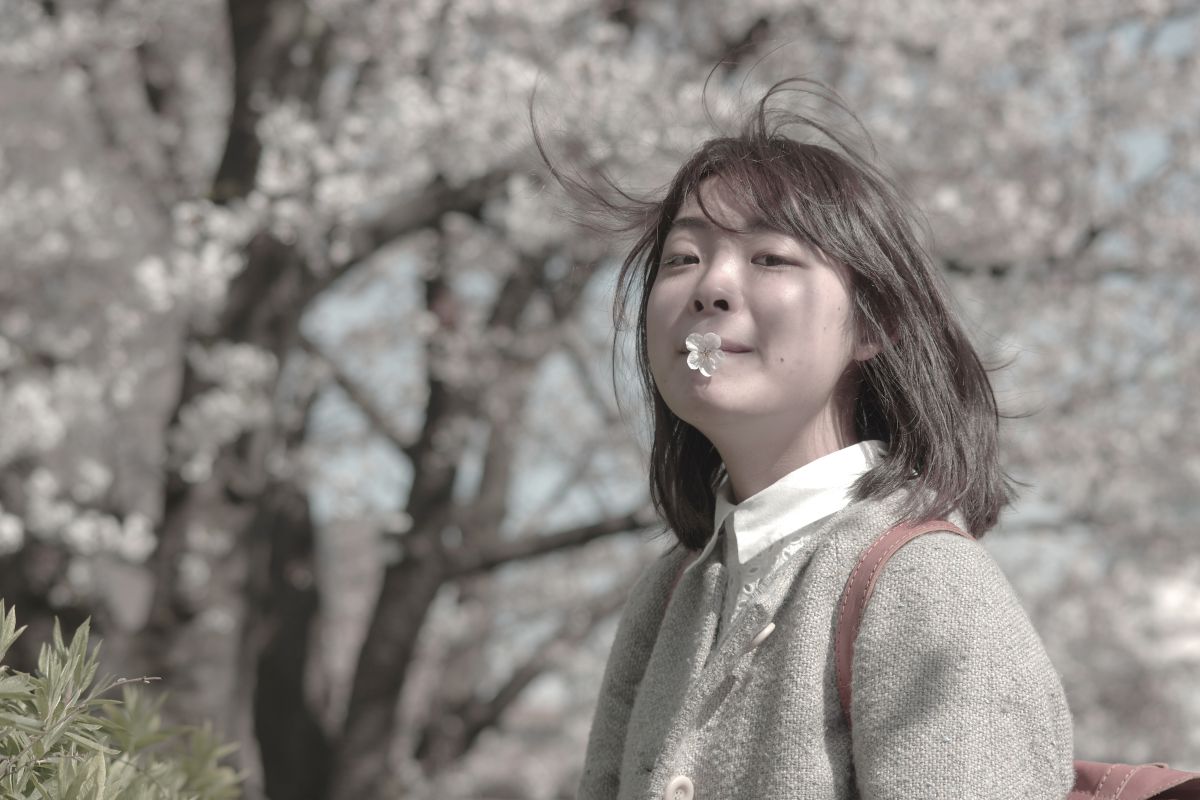 Sakura Catch Girl 1 | GANREF