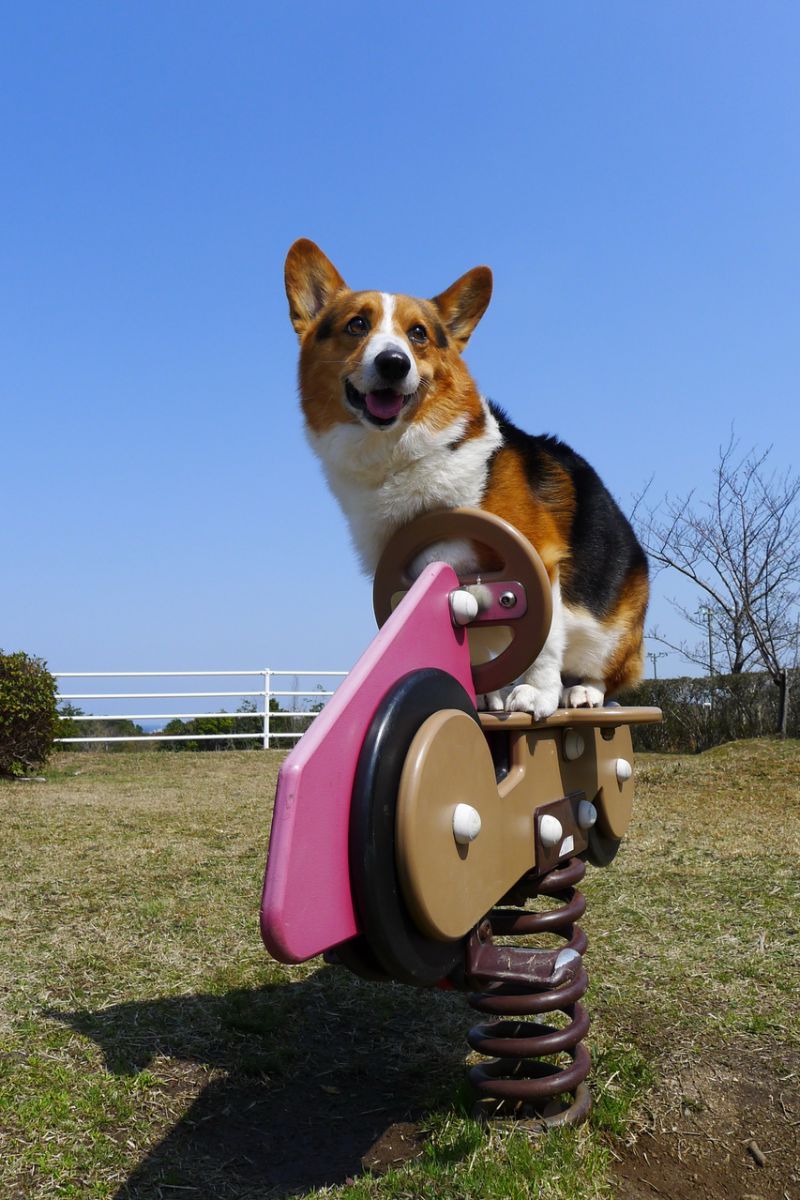 RIDE ON TIME | GANREF