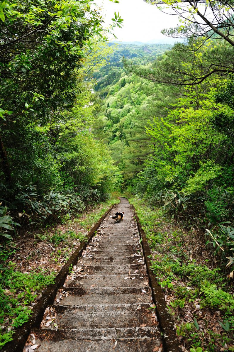 登ったら | GANREF