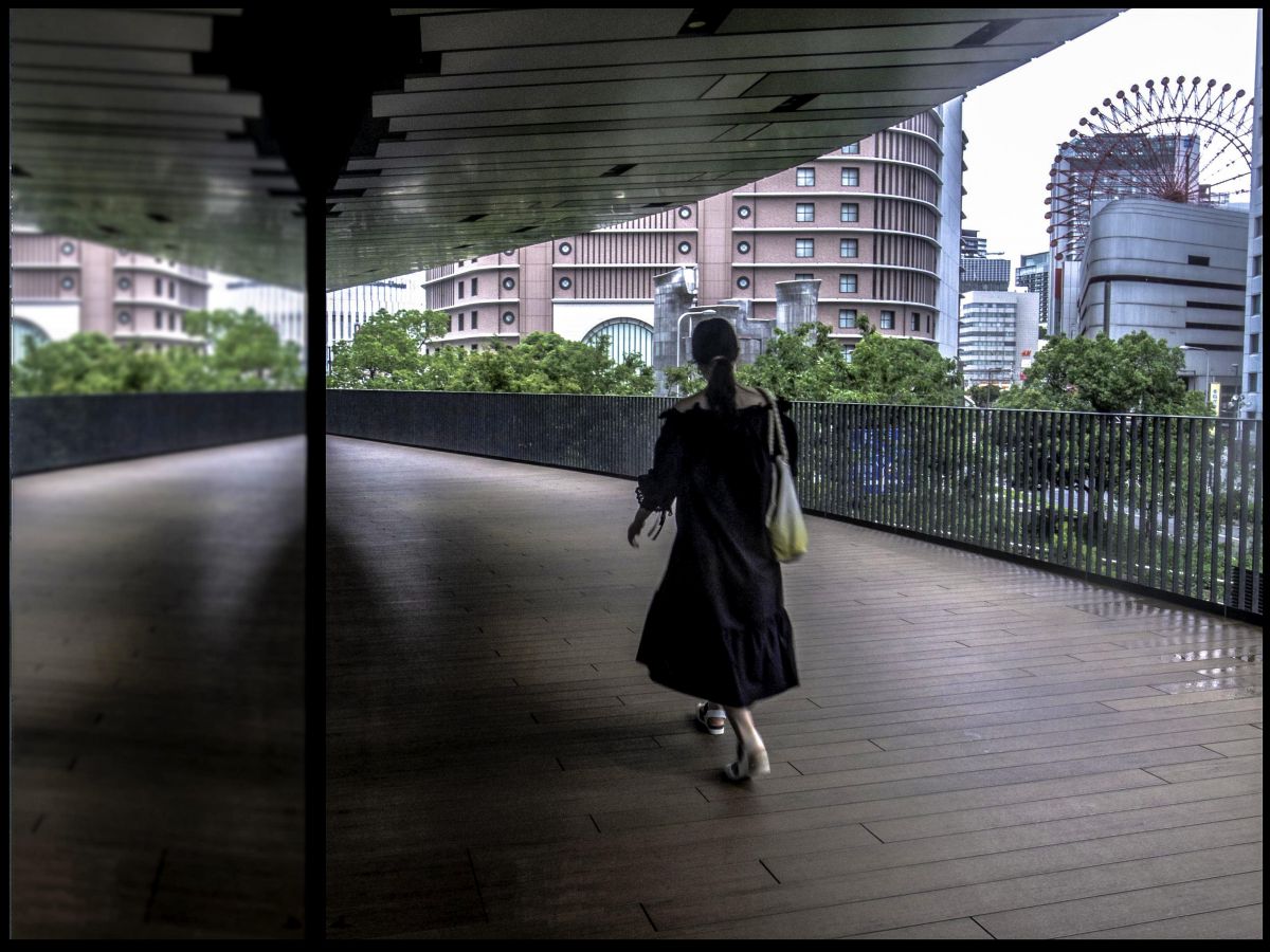 The Simple Photo | GANREF