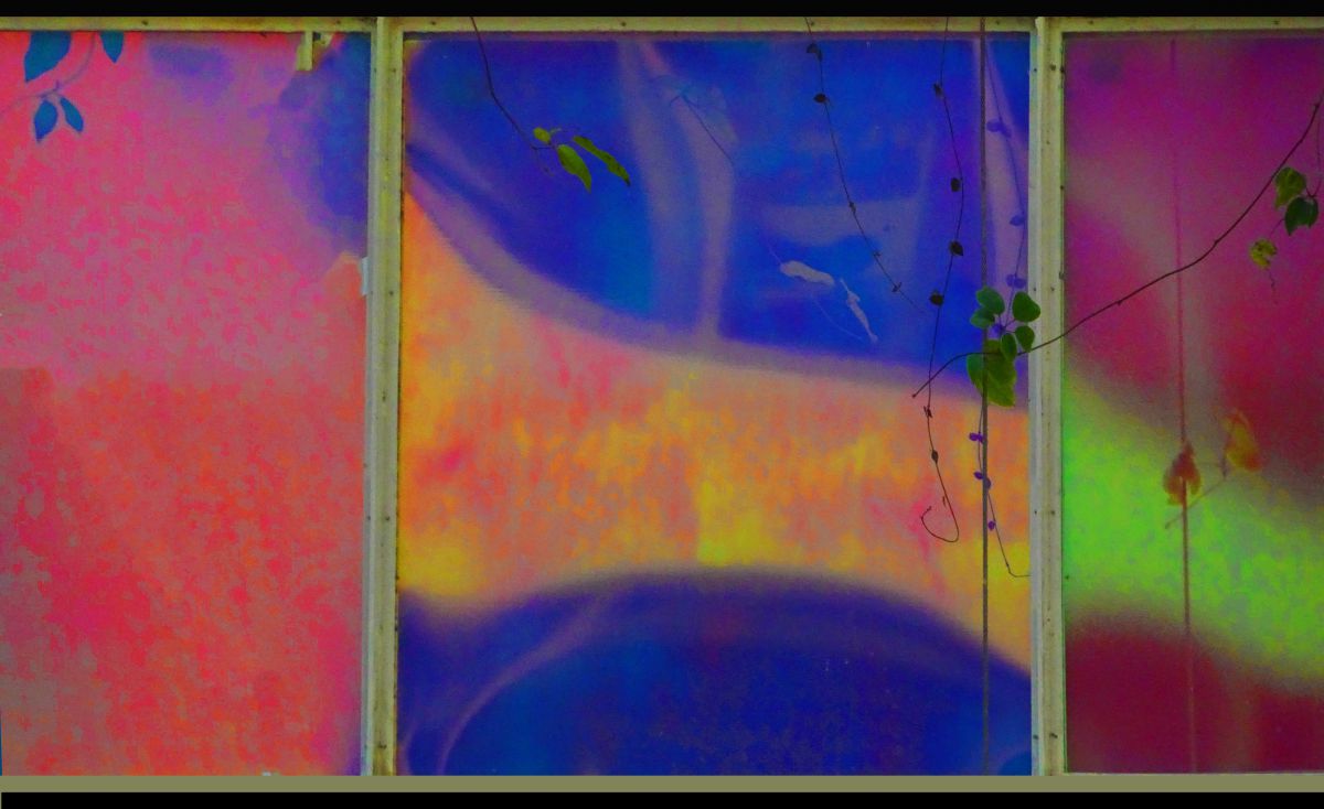 dreaming windows | GANREF