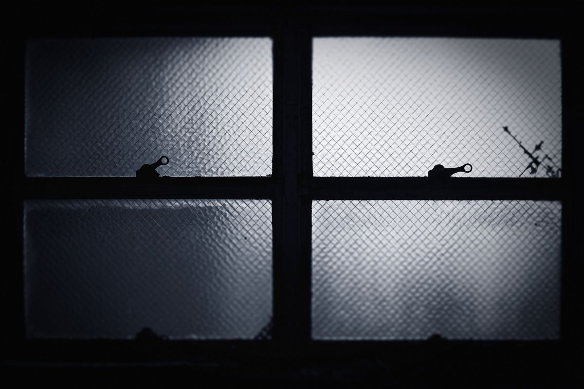 window stories | GANREF