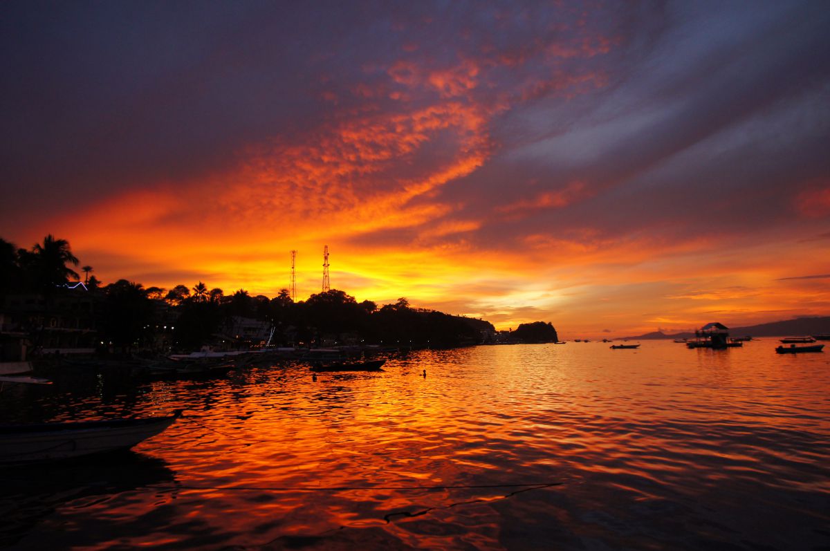 Fading ORANGE | GANREF