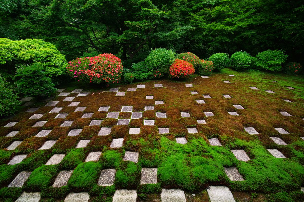 Checkered Green Garden | GANREF