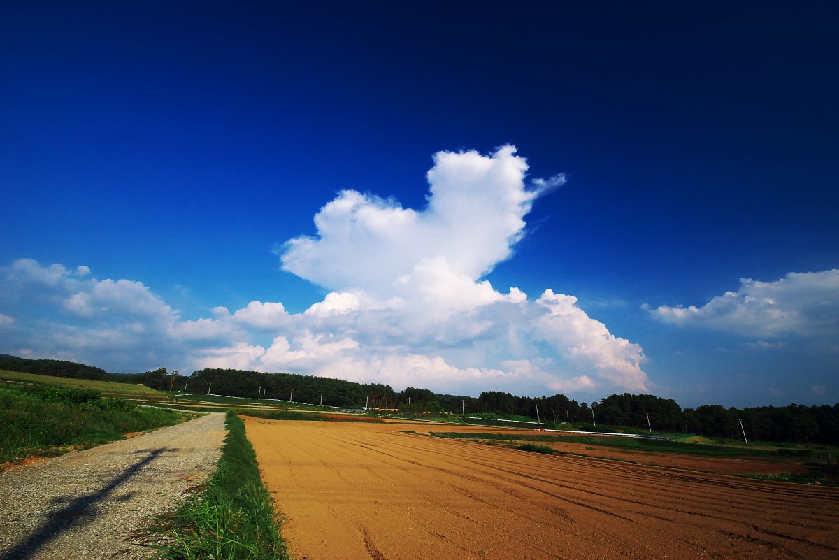 Huge Columns of Clouds | GANREF