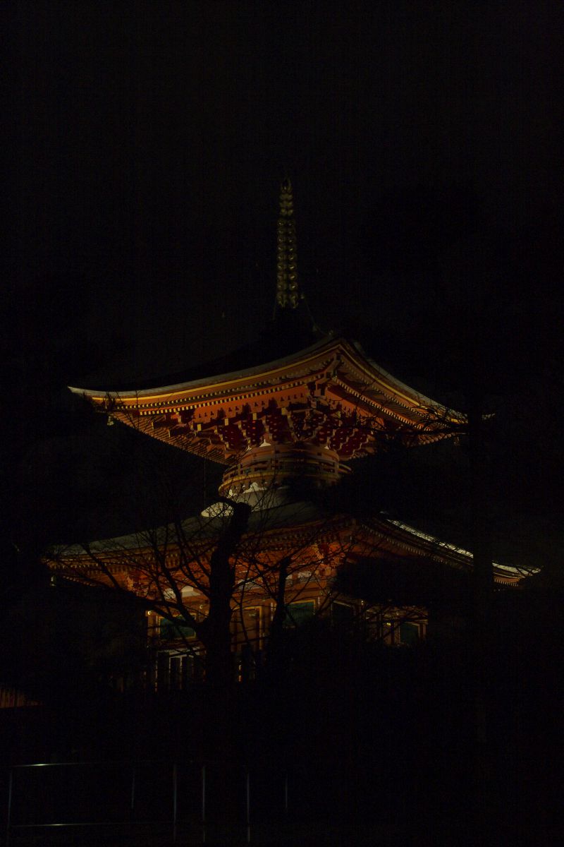 night temple | GANREF