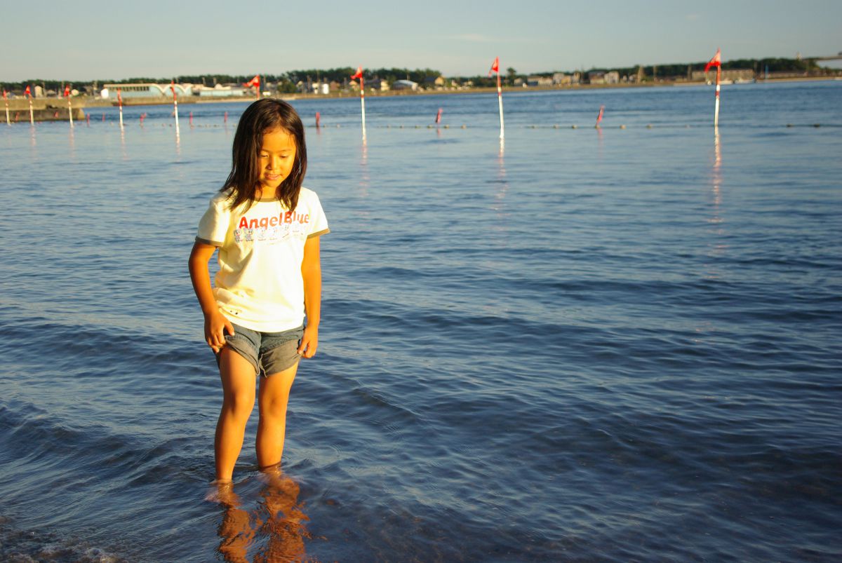 夕陽をうけて | GANREF