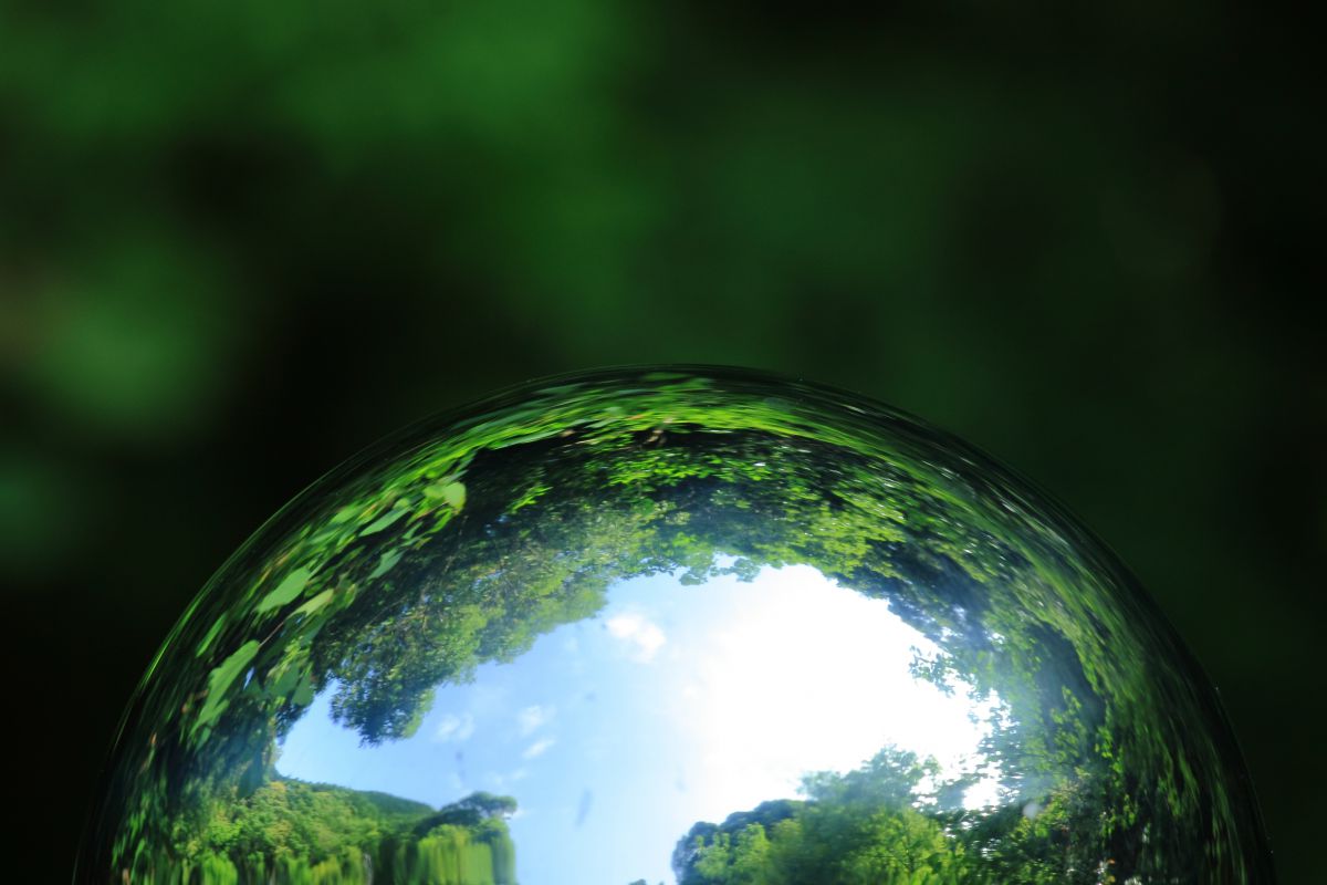 forest planet | GANREF