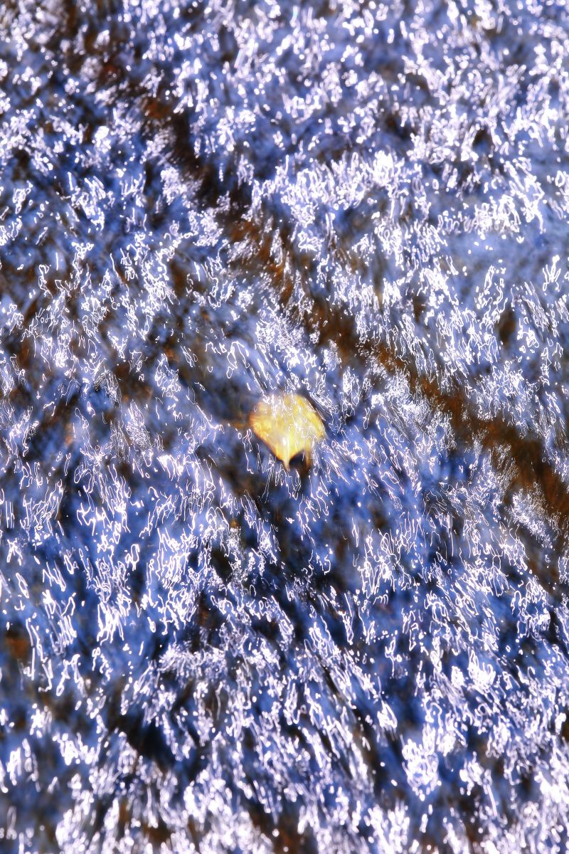 blizzard splash | GANREF