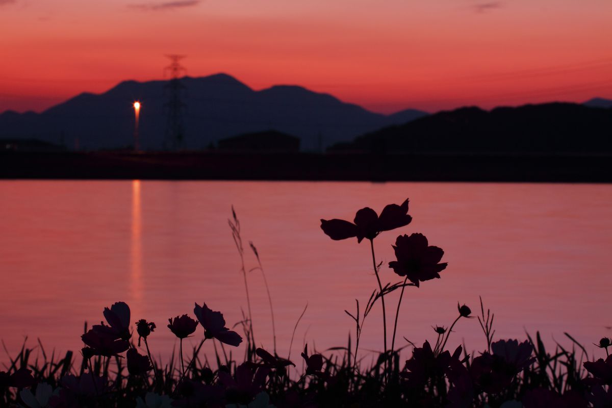 Sunset memory | GANREF