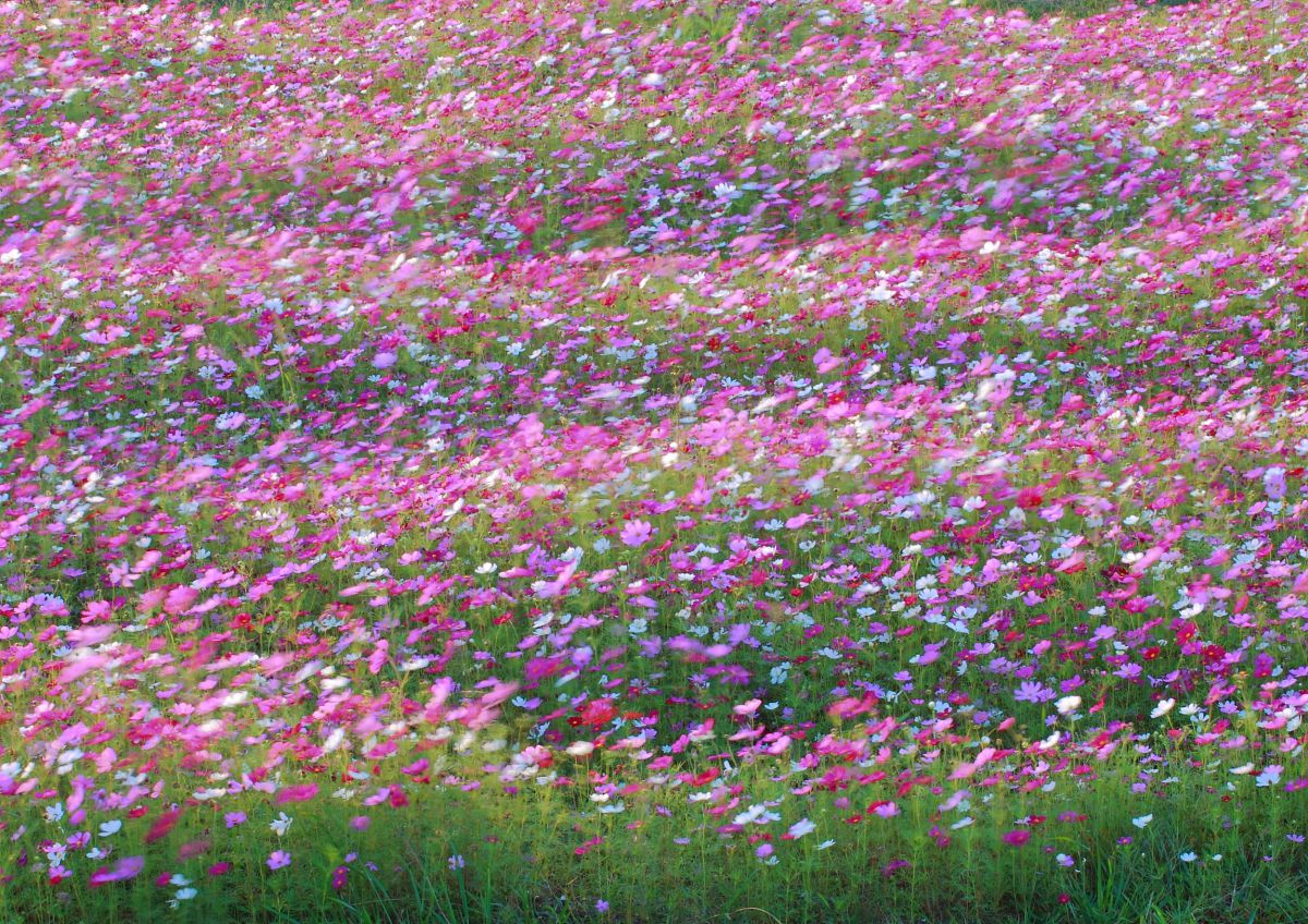 October wind | GANREF