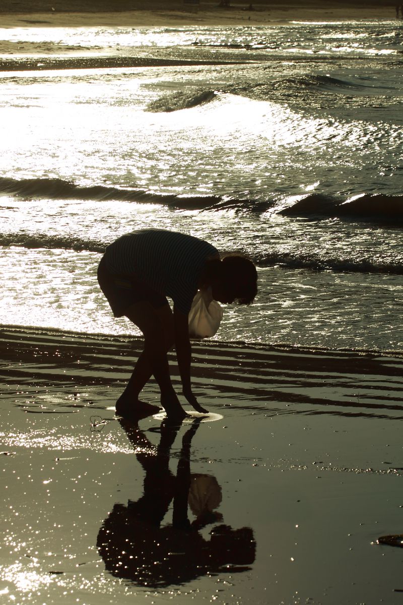 summer memories | GANREF