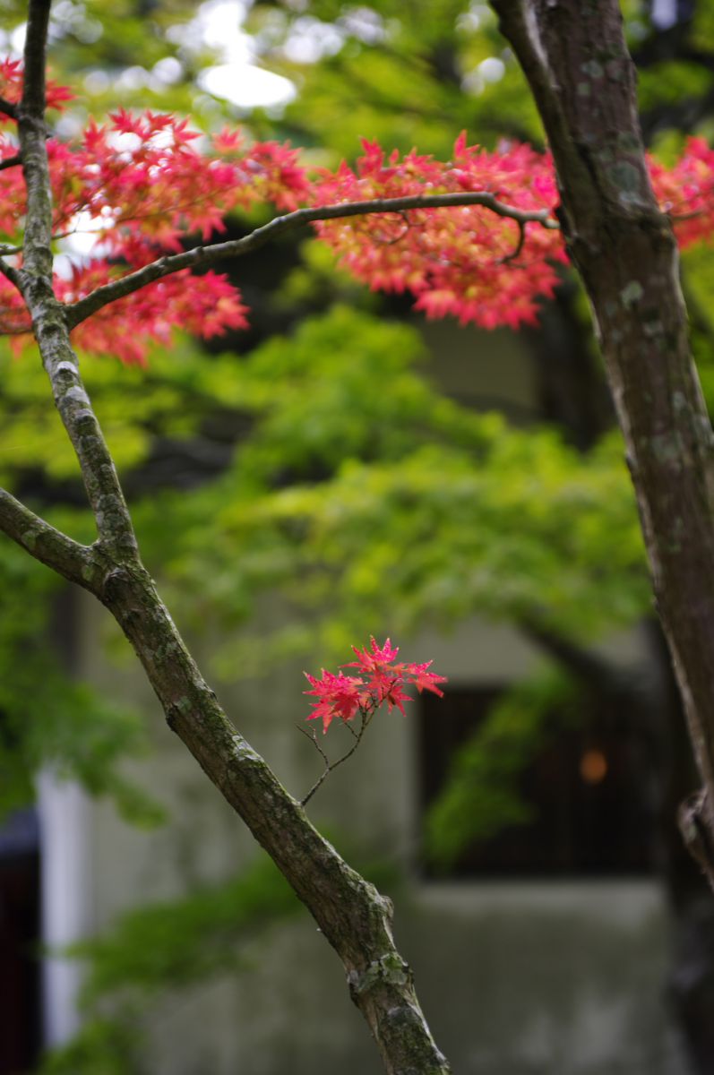 _IMG9281.jpg | GANREF