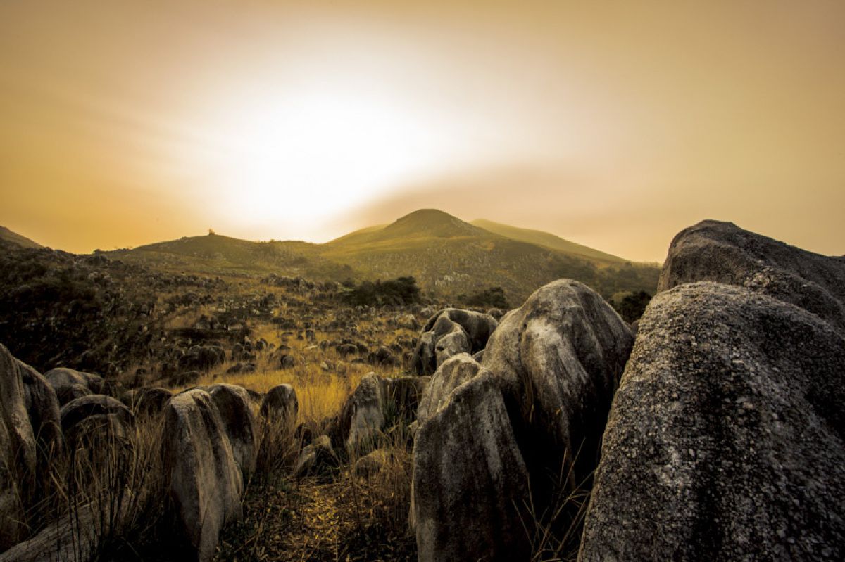 LAND ESCAPES シリーズから | GANREF