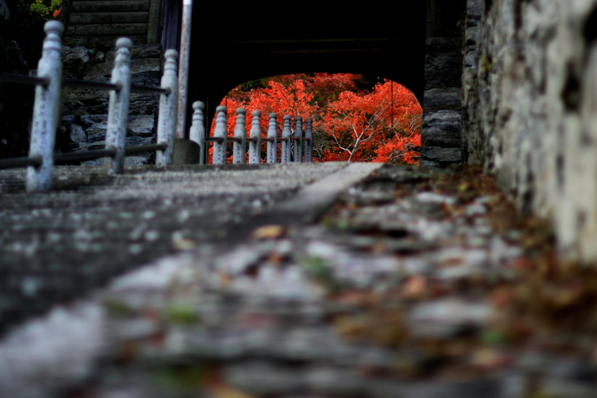 未知への戒壇 | GANREF