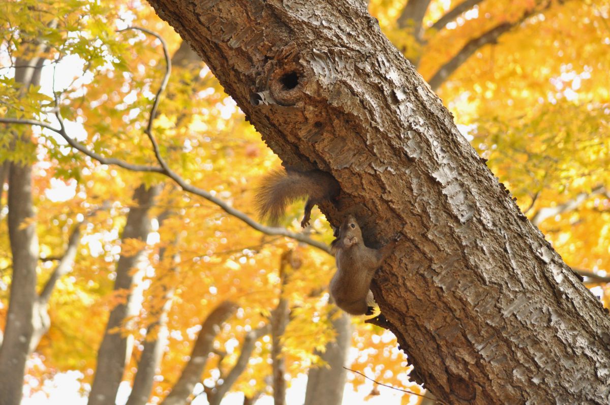 ふたりで入ろう♪ | GANREF