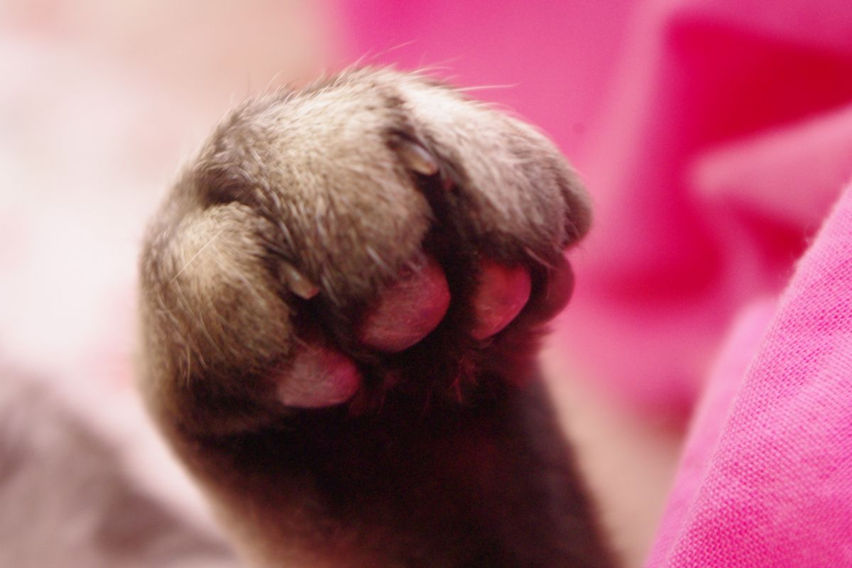 お気に入りの一枚♪その2 | GANREF