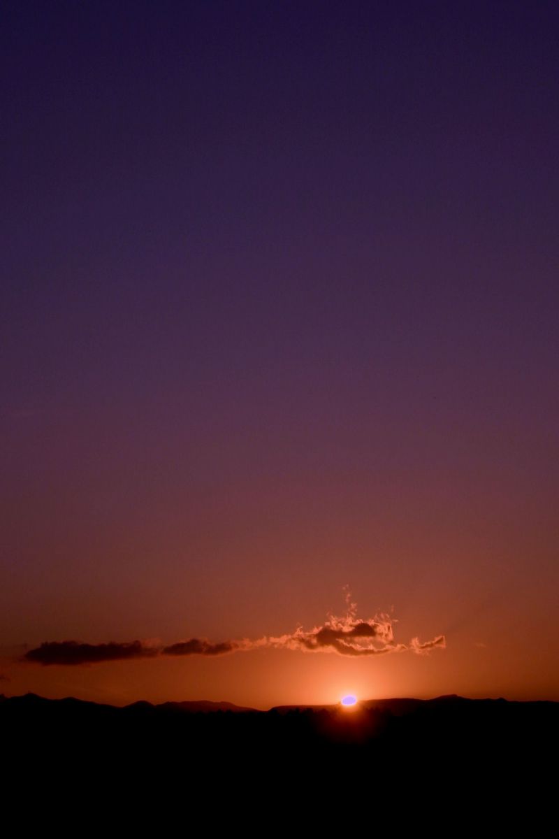 IMG_4310a.JPG | GANREF