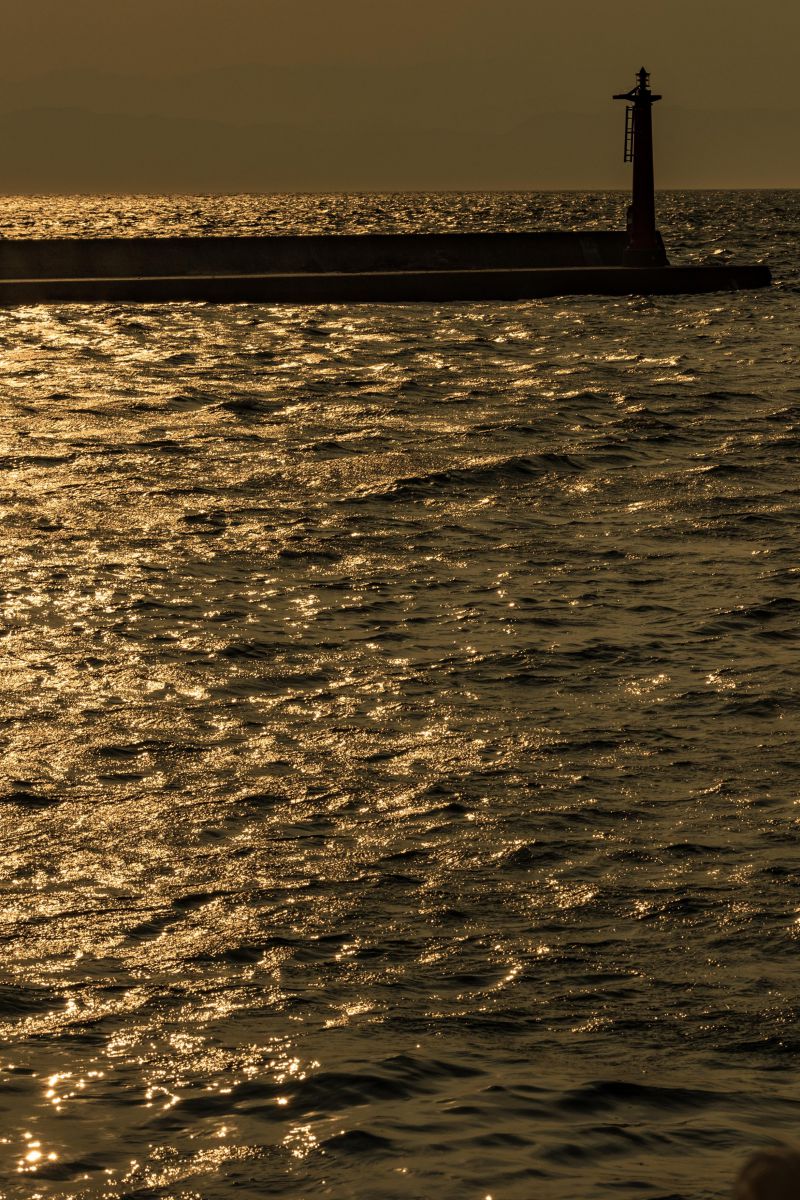 I feel …… | GANREF