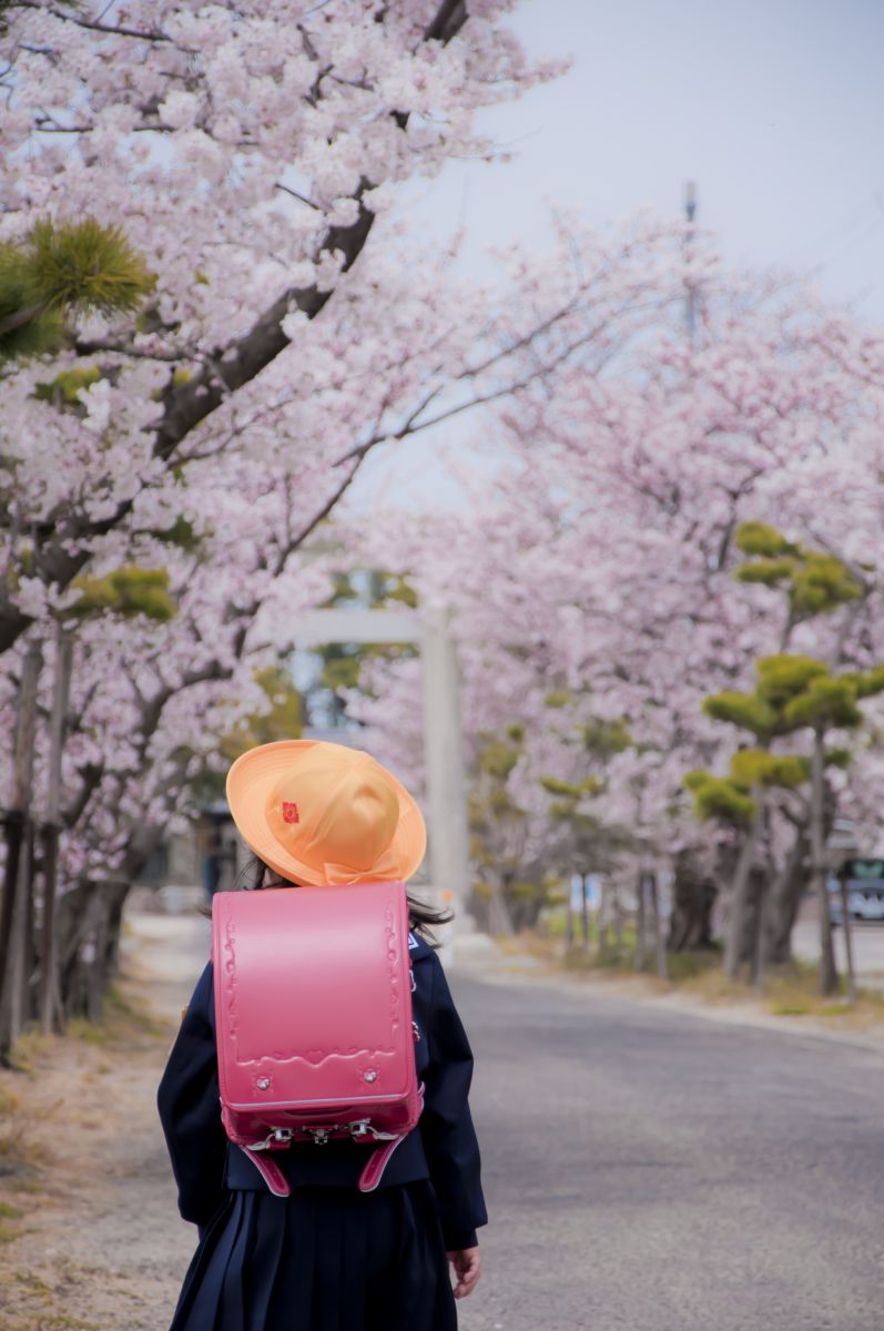 The first going to school | GANREF