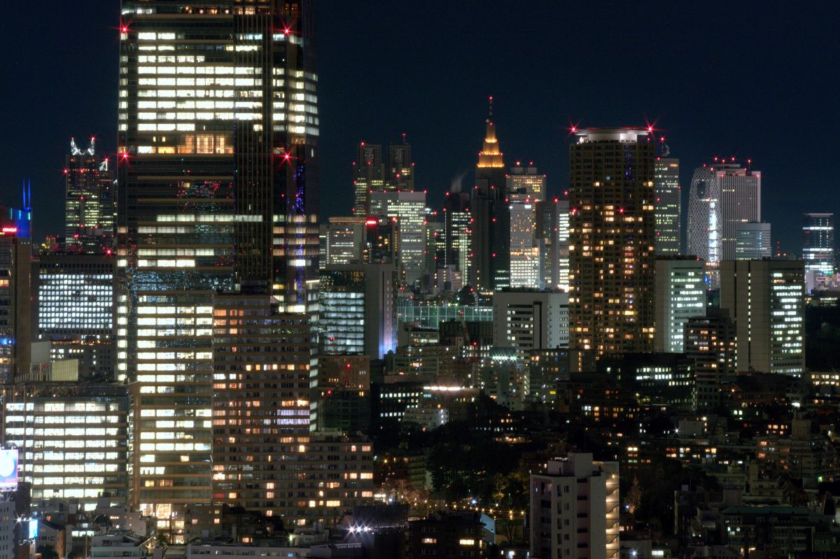 BUILDING FOREST | GANREF