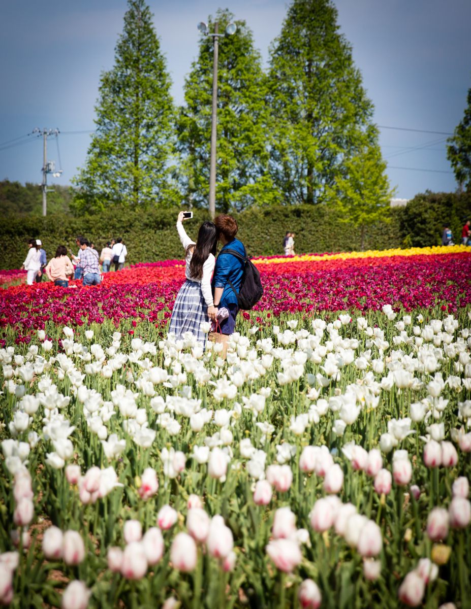 ふたりの世界 | GANREF