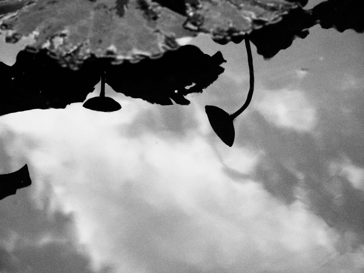 20121006-025.jpg | GANREF