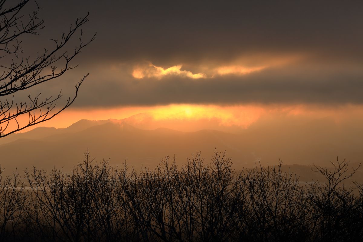 Rising 融合 | GANREF