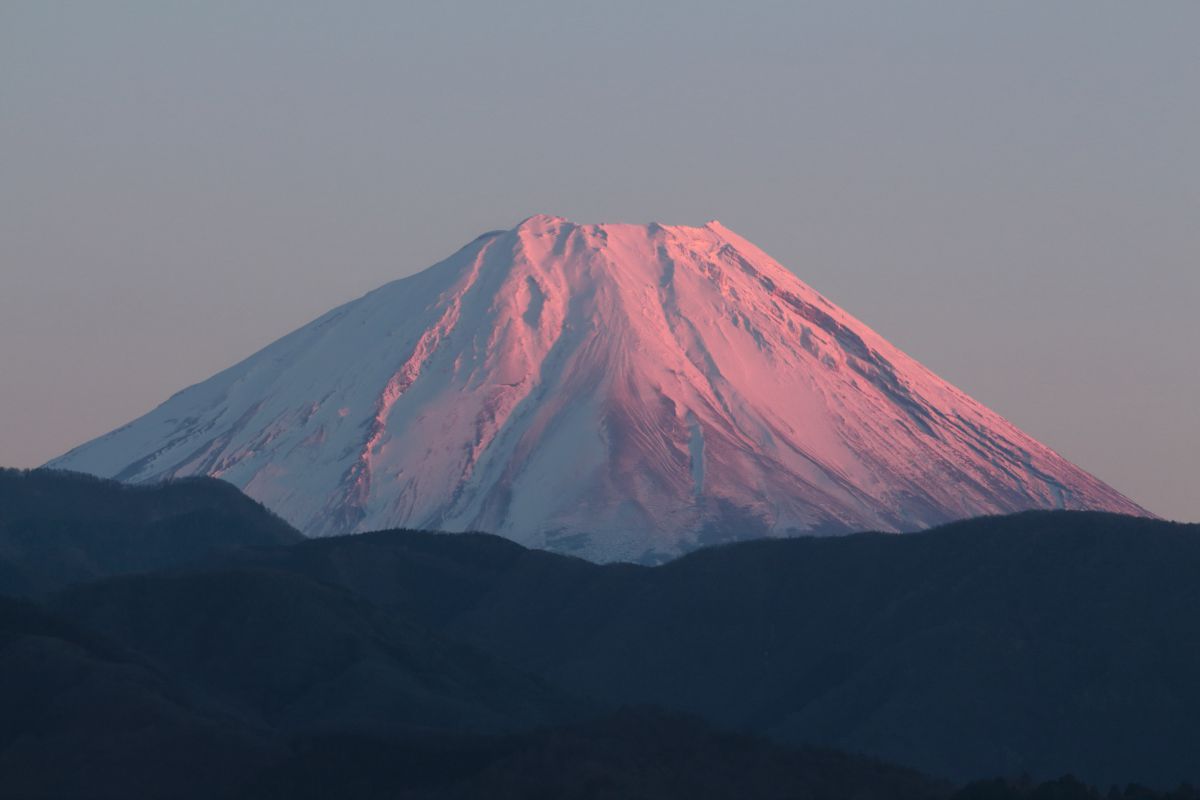 染められて | GANREF