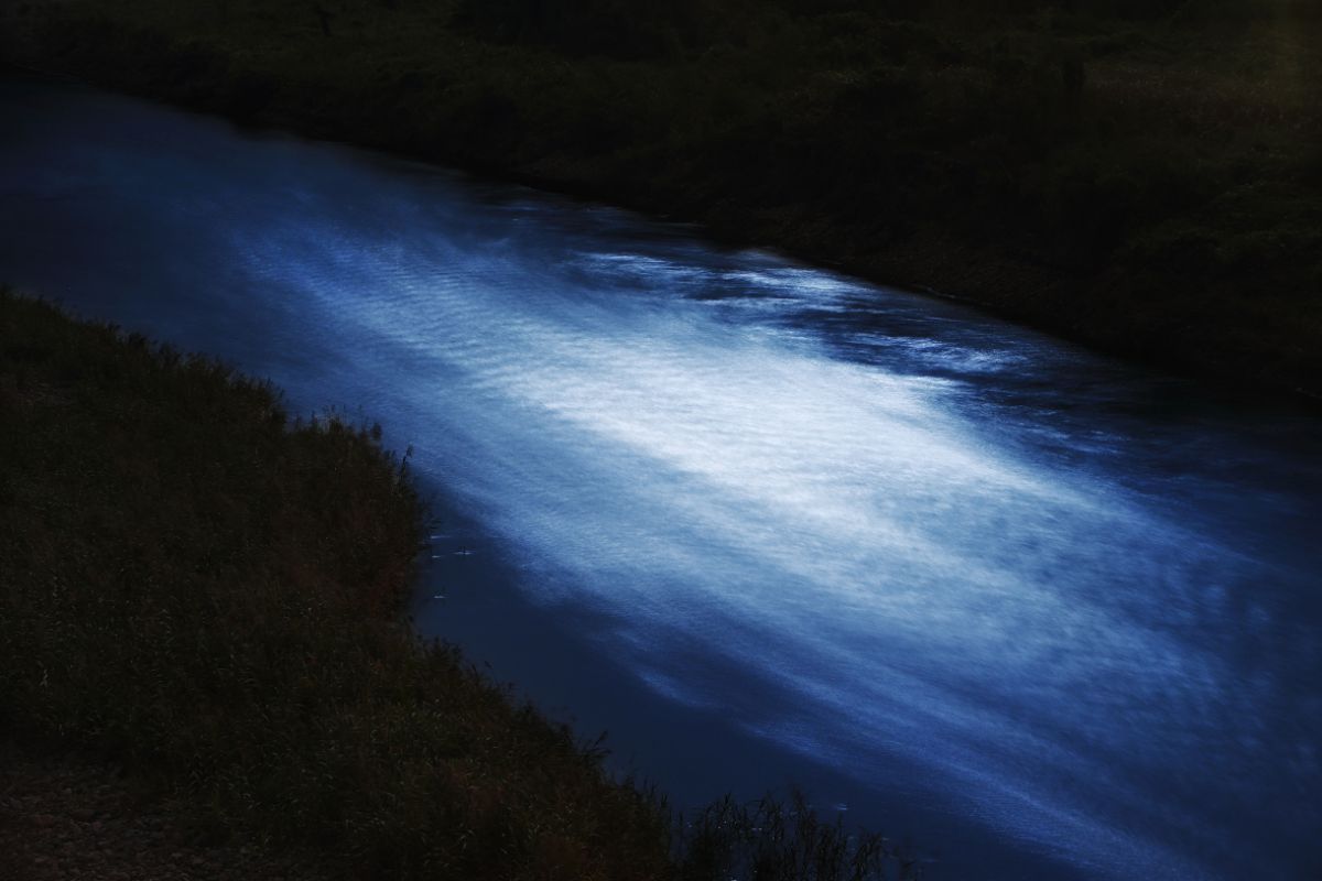 PEARL RIVER | GANREF