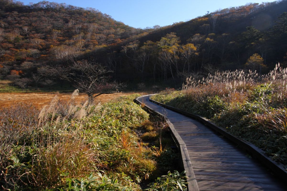 秋風に誘われて | GANREF